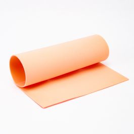 Foam liso 20x30cm piel