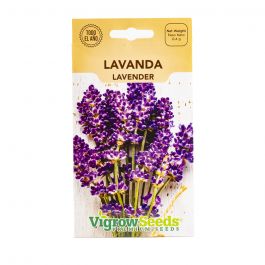 Sobre semilla vigrow seeds lavanda