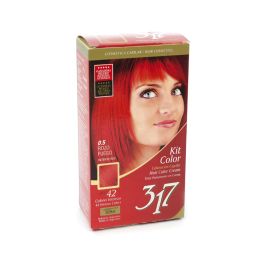 Tinte 317 Rojo fuego 0.5